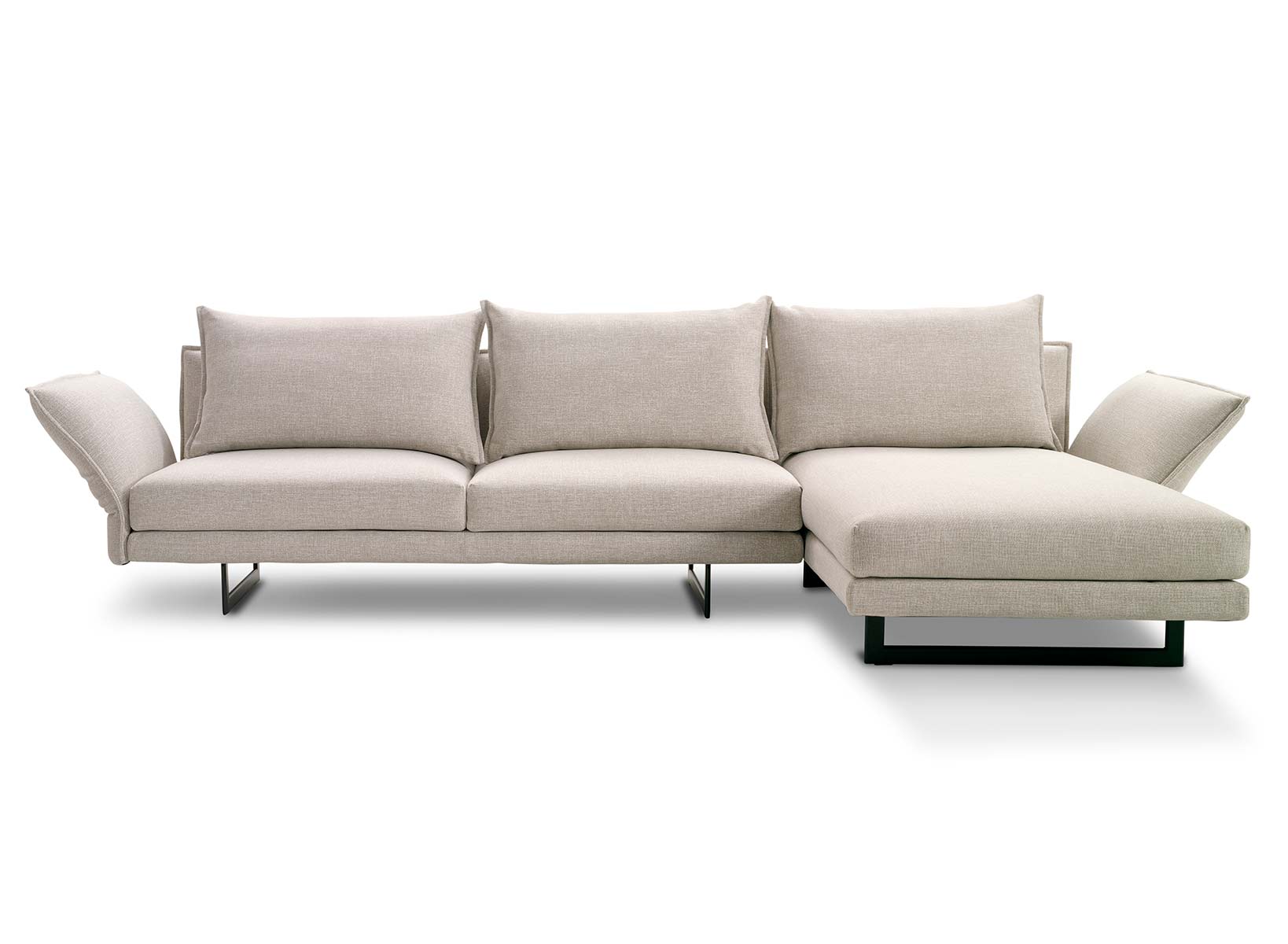 Neale Whitaker on living with pets | KING